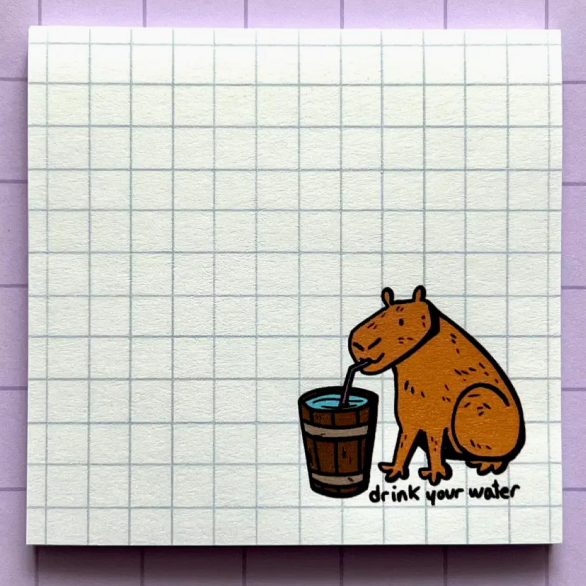 Drink Your Water Capybara Post It Notepad – Full Circle Gifts & Goods