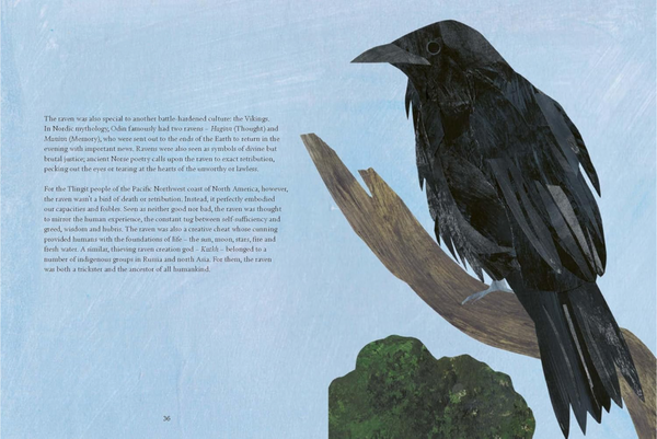 Bird Lore: The Myths, Folklore and Meaning of Birds – Full Circle Gifts ...