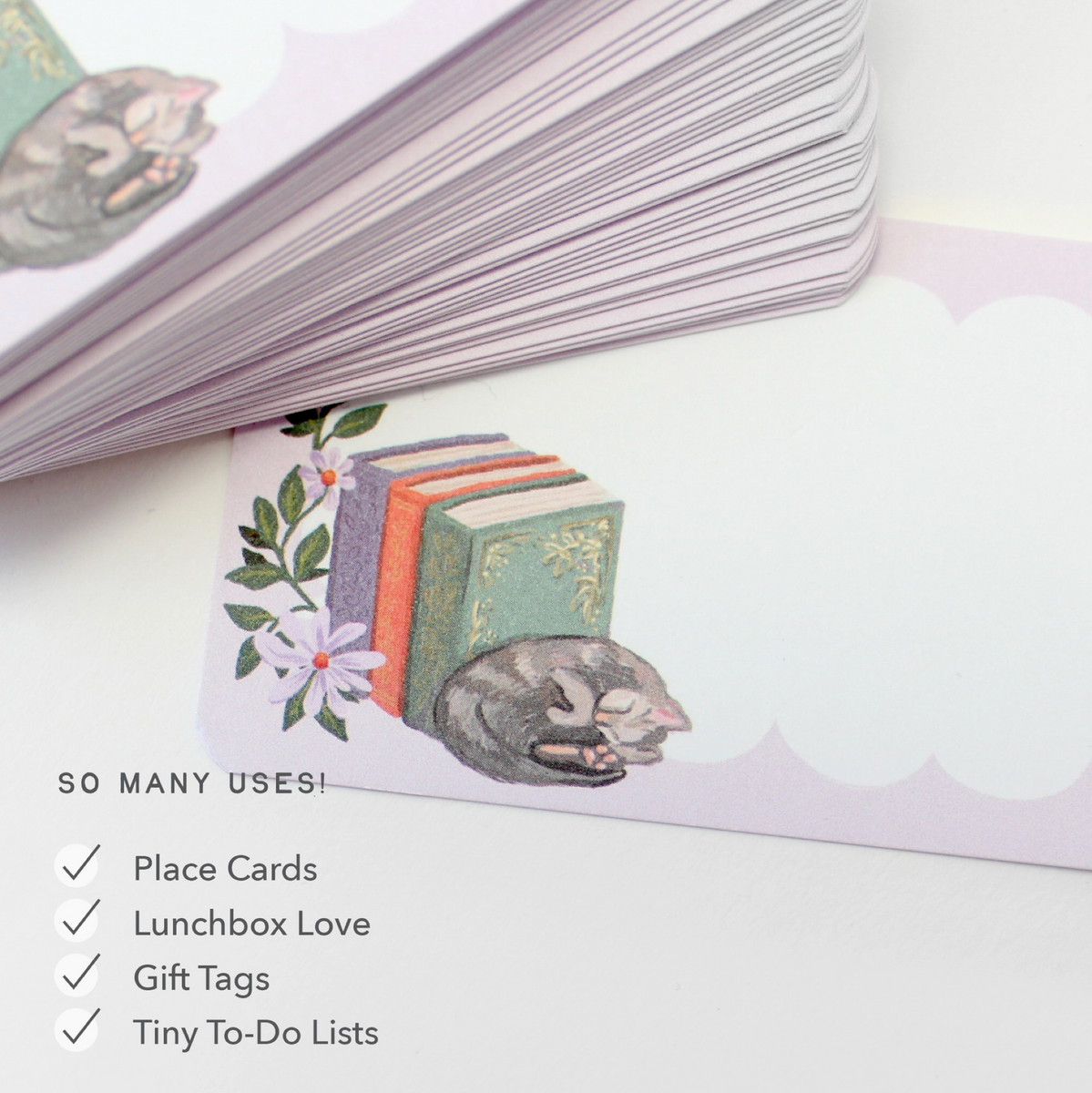 Pocket Notes - Library Kitten – Full Circle Gifts & Goods
