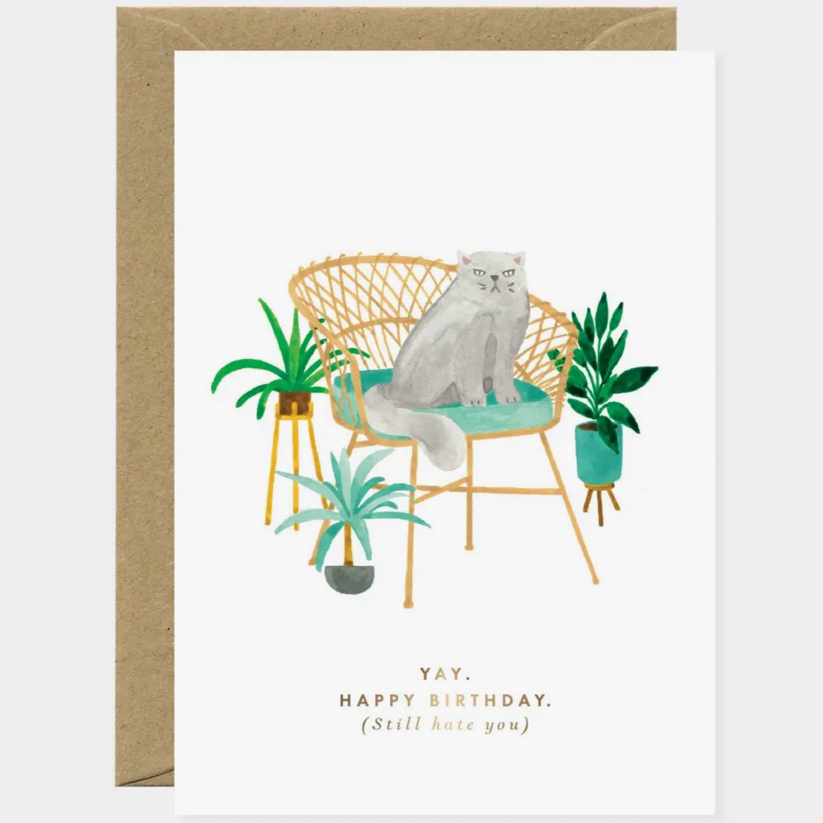 Cat Happy Birthday Still Hate You Card – Full Circle Gifts & Goods